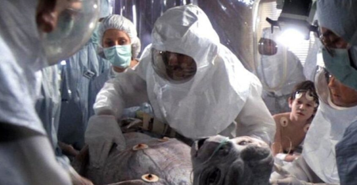 Films that used real people instead of actors—and pulled it off