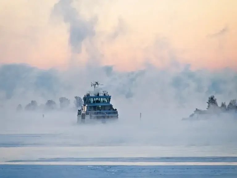 The "boiling sea" anomaly: Why smoke appears to be rising off ...