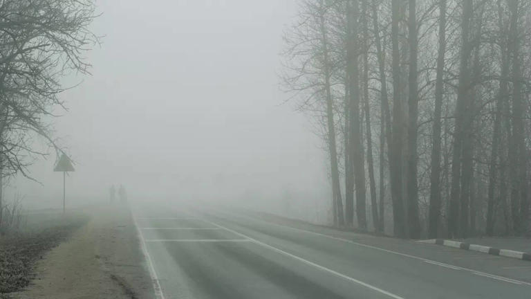 IMD predicts western disturbances, dense fog and cold waves for late ...