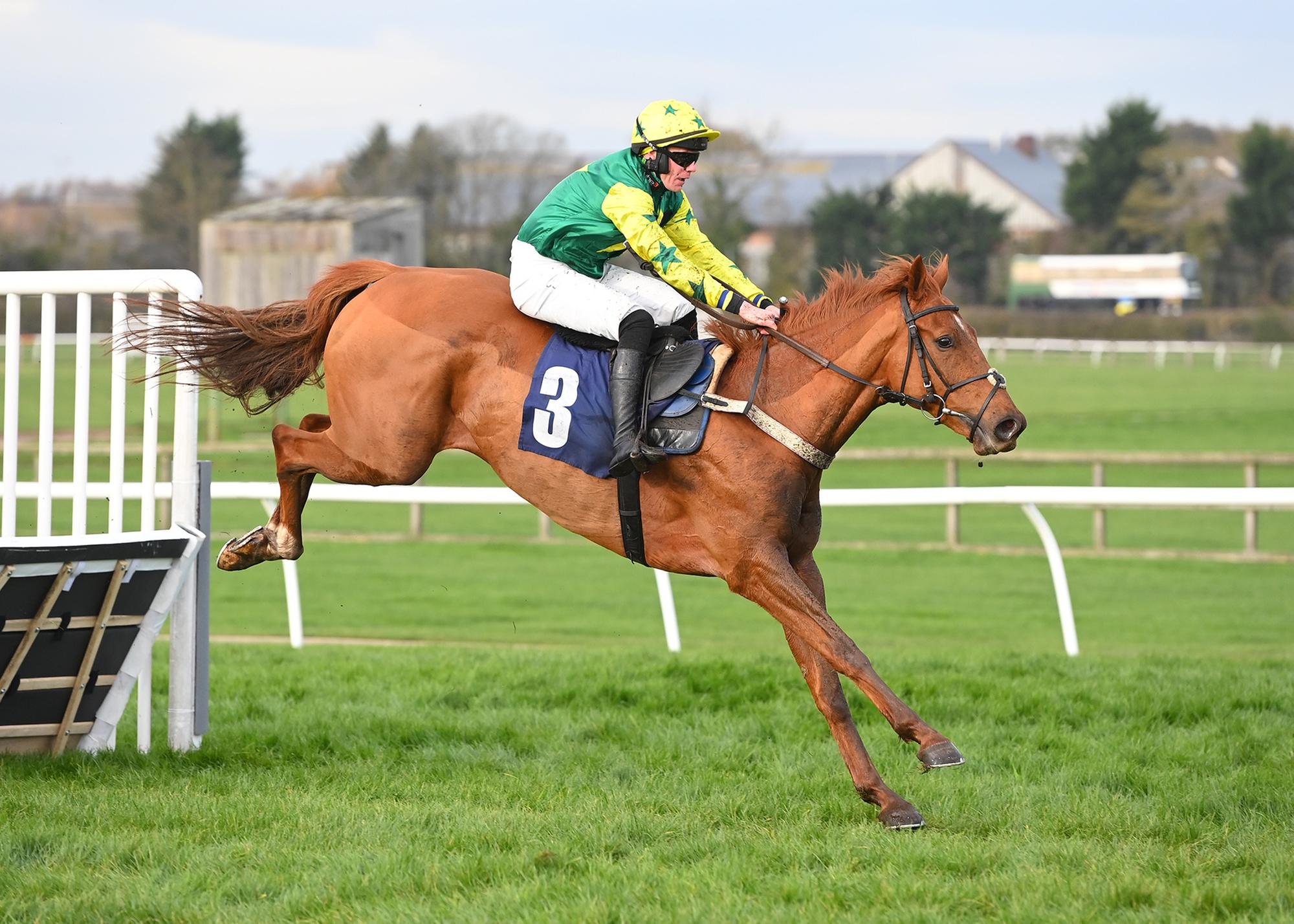 North Yorkshire trainer Mark Walford is buzzing for his top Ascot prospect