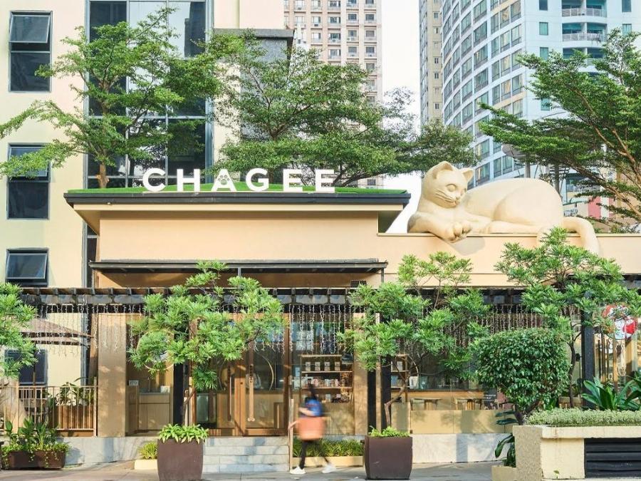 This milk tea shop redefines pet-friendly spaces