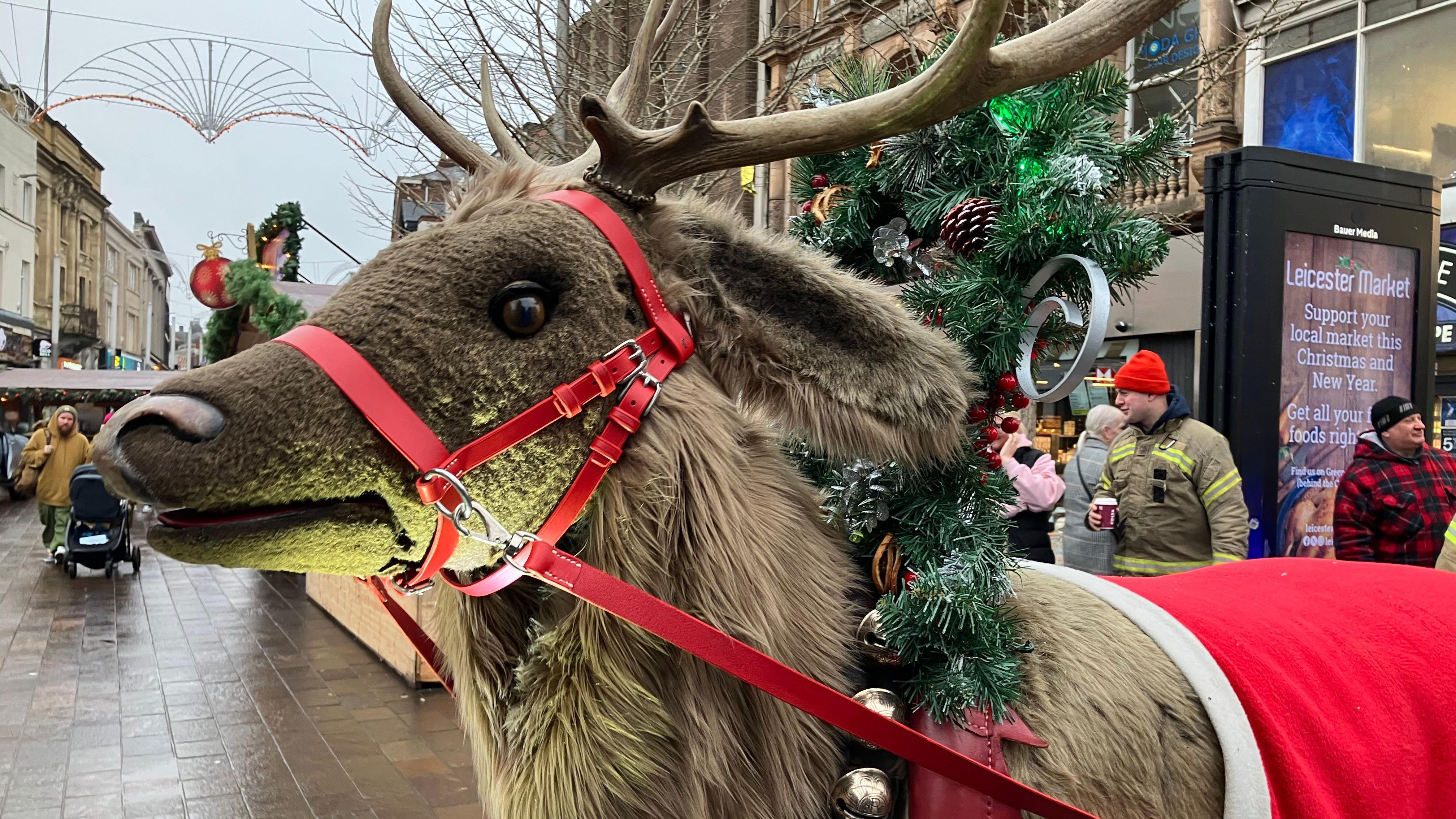 Animated Rudolph given new lease of life