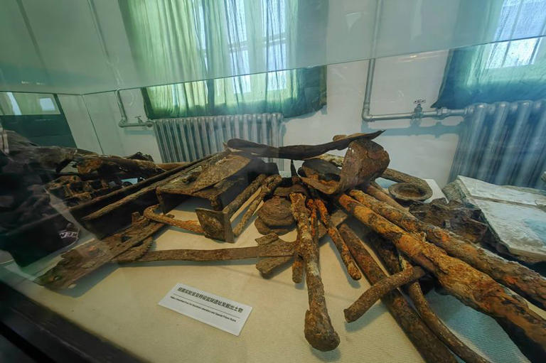 Horror jail where prisoners deliberately infected with deadly diseases ...