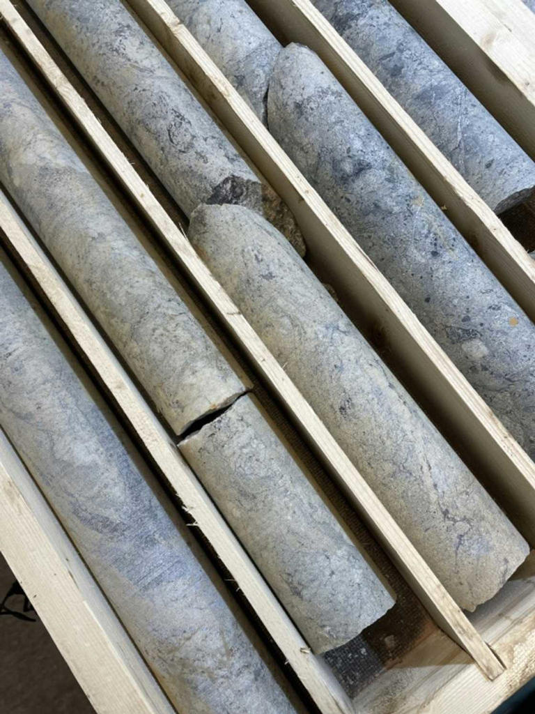 Beetles block mining of Europe's biggest rare earths deposit