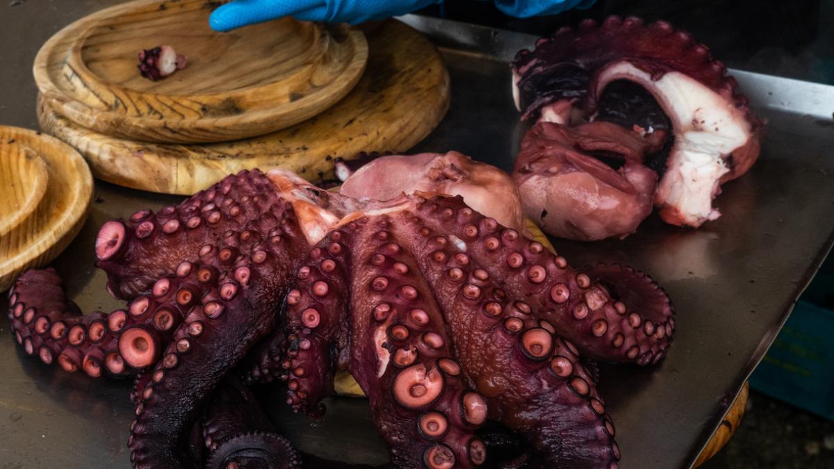 Cómo saber si el pulpo que comerás estas Navidades es gallego o ...