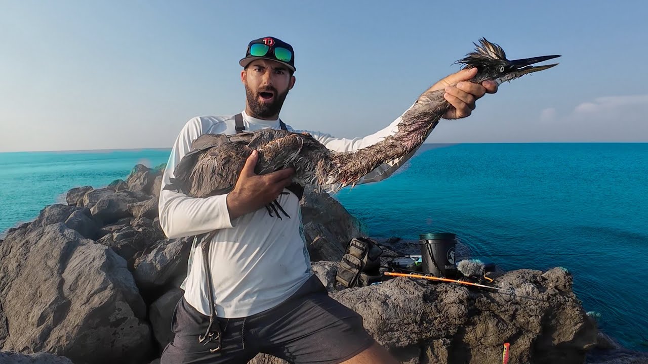 Rescue saves fish after dangerous creek incident