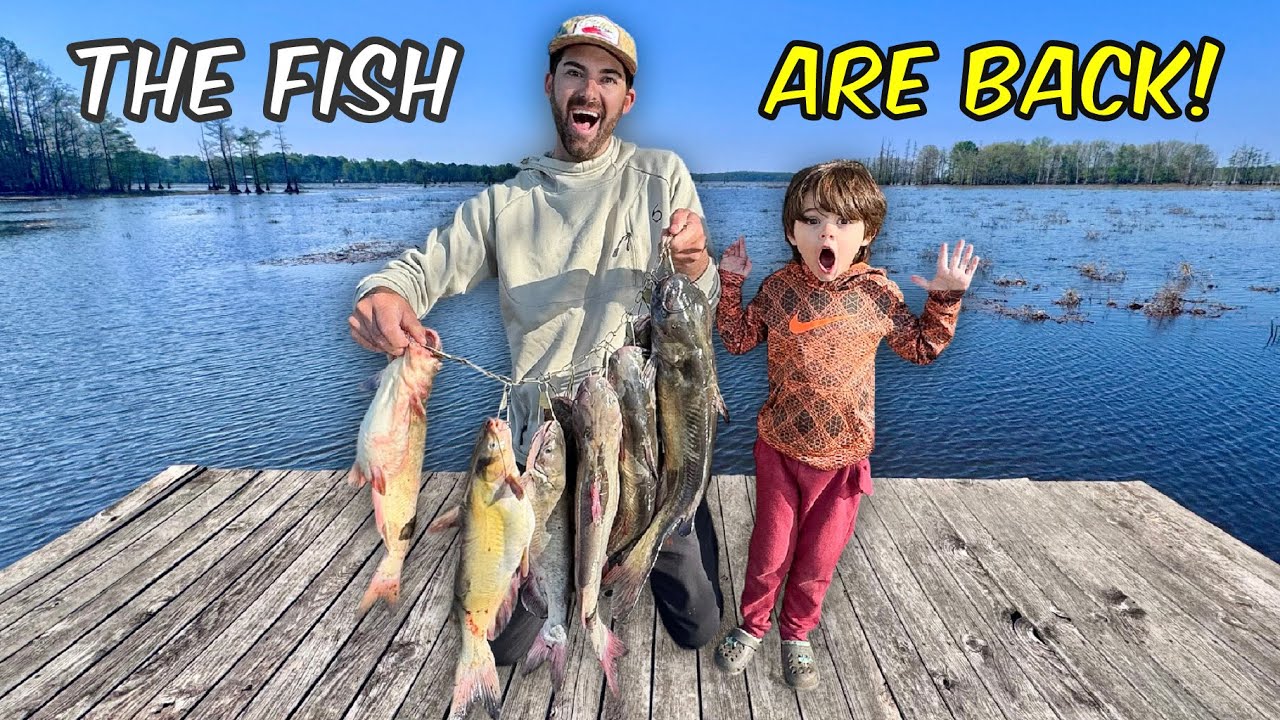Flooded lake returns with fish we can’t believe are back