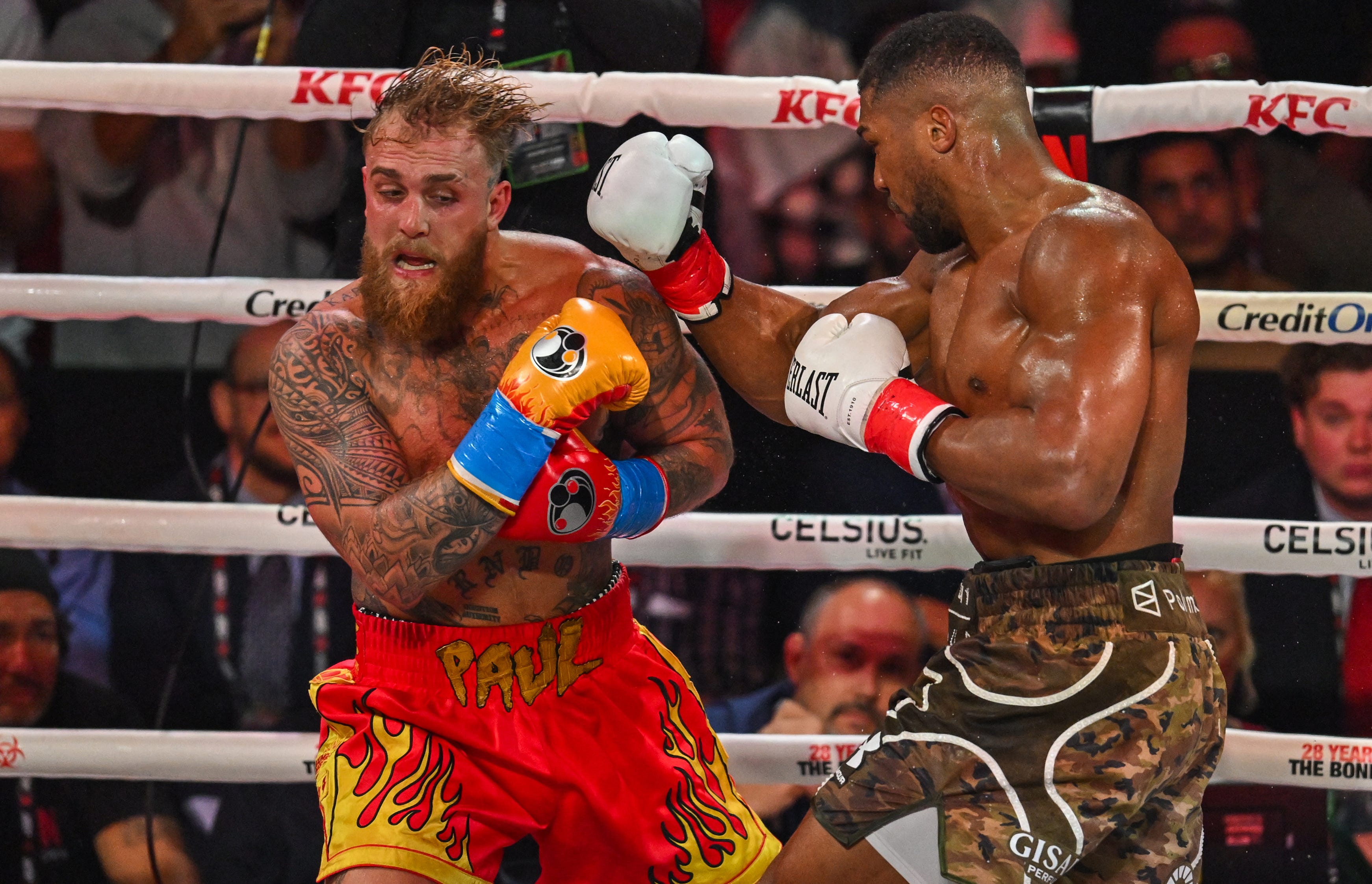 Who won the Jake Paul fight last night?