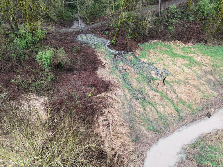 Owner of unlicensed waste pit near Aurora argues it is farm use