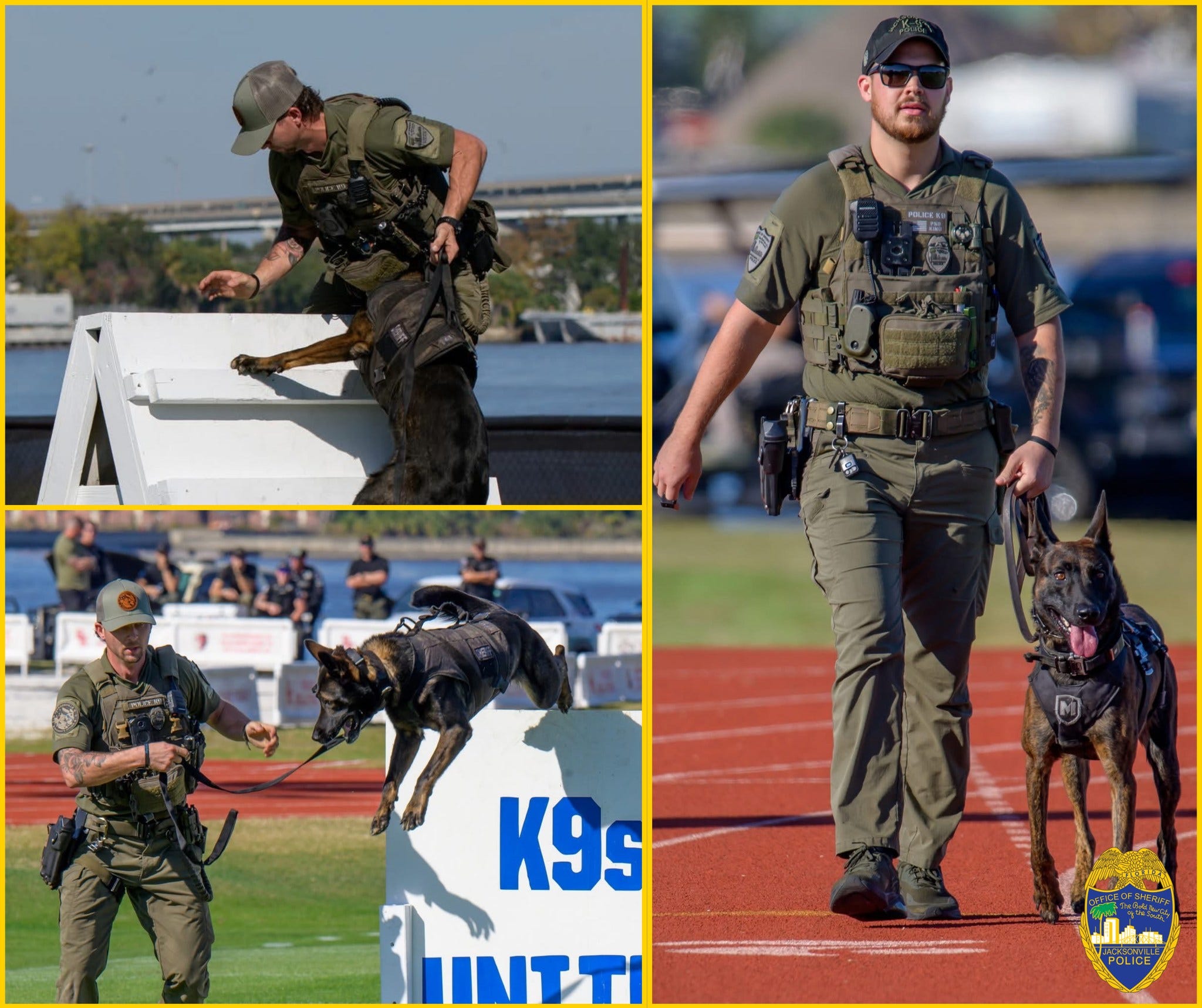 Go Bane! JSO police dog named crowd favorite at K-9 competition