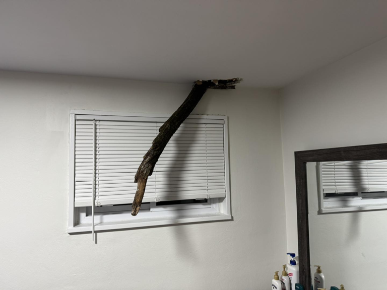 Penn Hills VFC: Home evacuated after tree falls onto roof