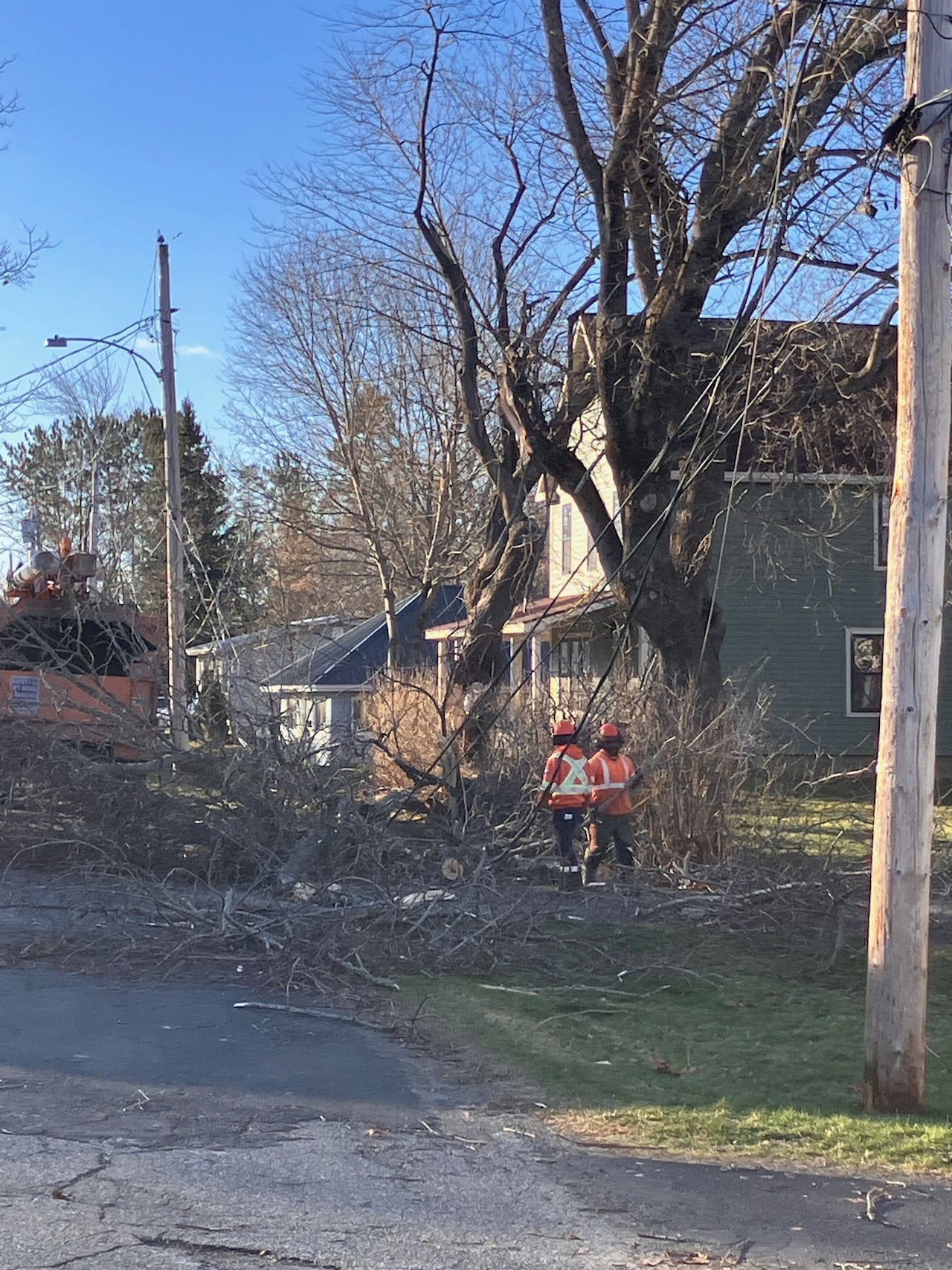 About 30,000 NB Power customers without power due to strong winds