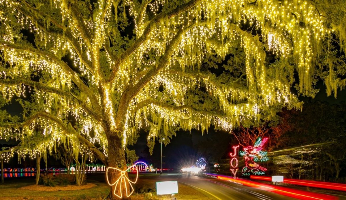 11 drive through holiday light displays that feel magical in America