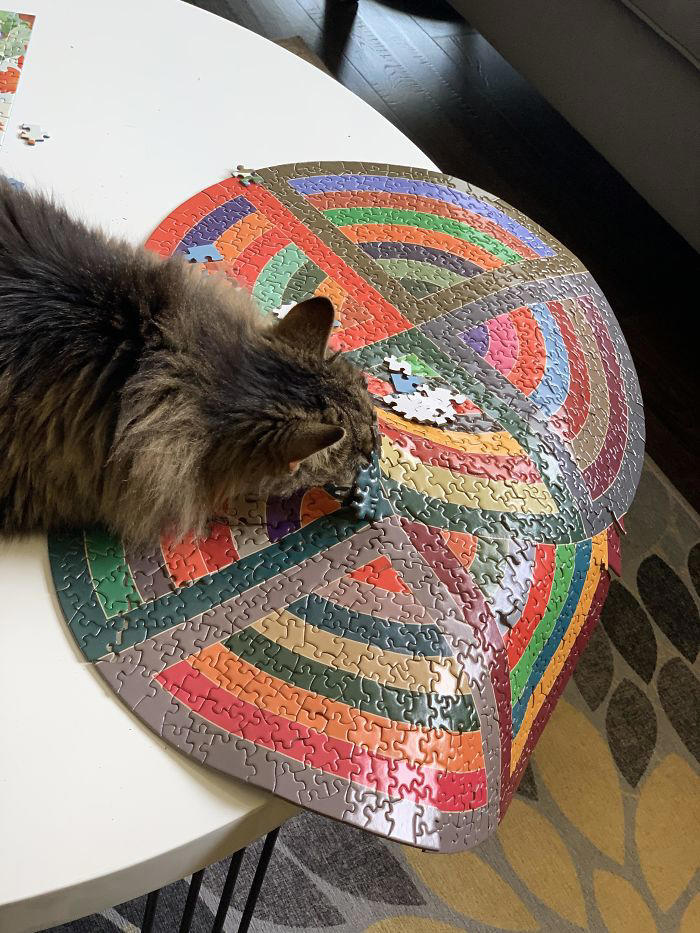 30 photos that show the reality of trying to finish a puzzle with your cat