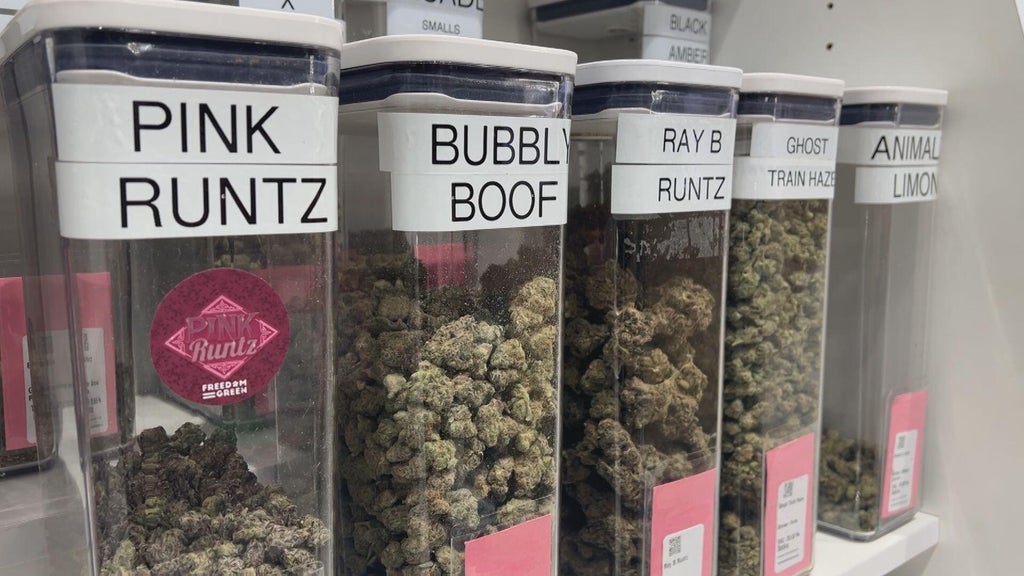 Michigan organizations hopeful after Trump signs executive order to ...