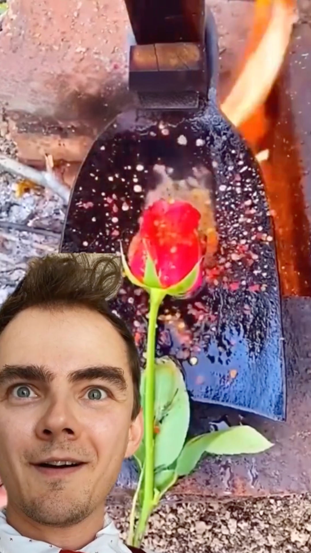 Don't eat roses