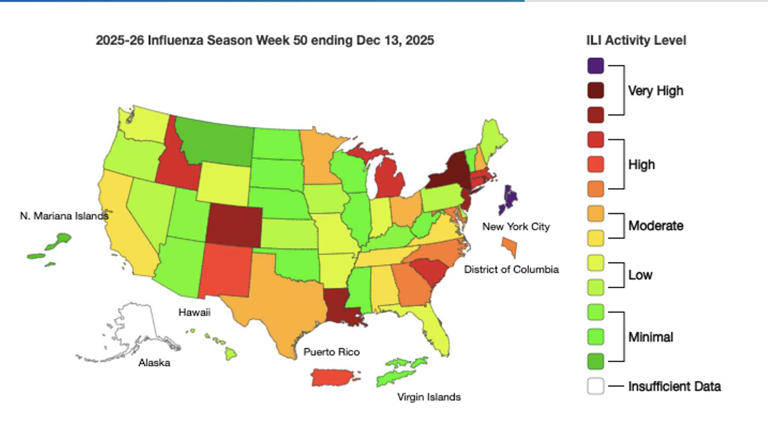 These states have highest flu rates as Christmas arrives: See map