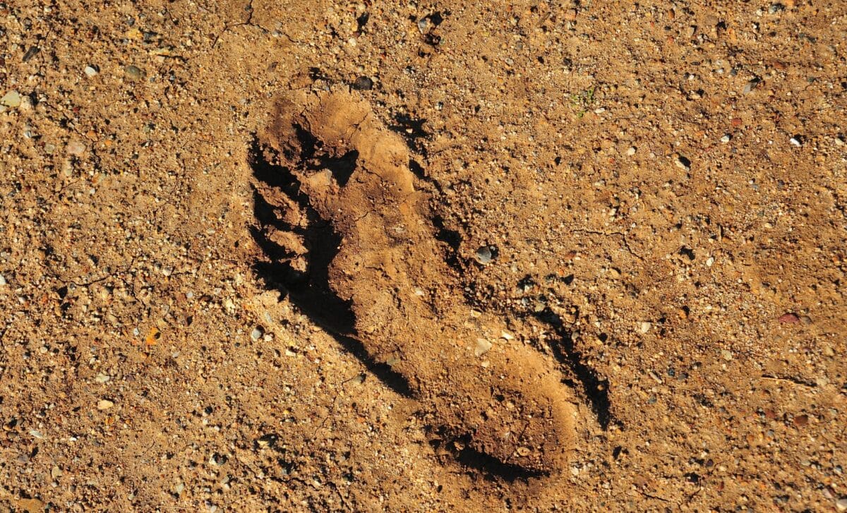 Scientists just discovered the oldest human footprint ever found ...