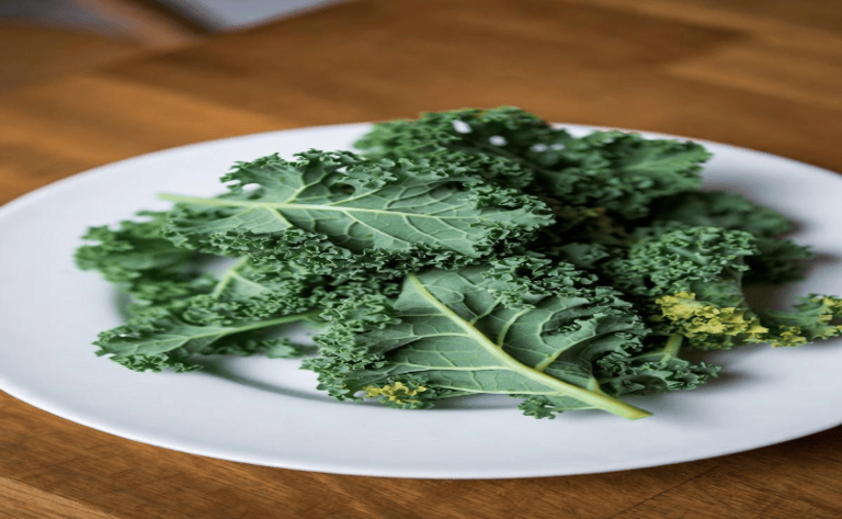 Why kale is one of the healthiest foods you can eat, according to science