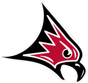 UW-River Falls advances to NCAA D-III football championship
