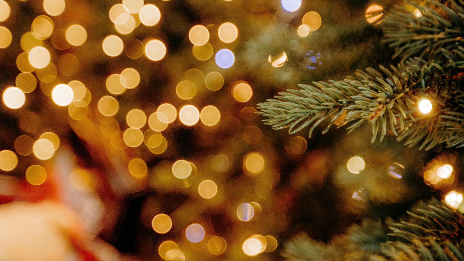 Spoilers de 'Beyond the Gates' (22-26 de diciembre): Navidad ...