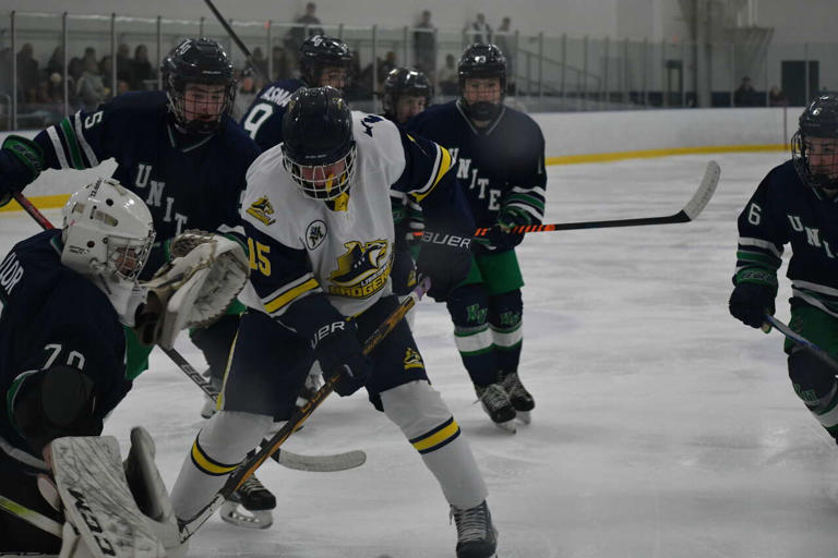 Lakeshore hockey's winning streak snapped at home