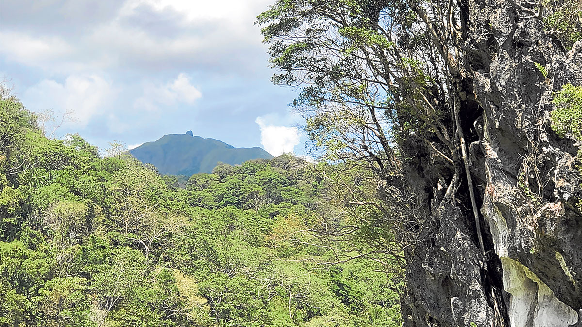 Gui-ob ni Tidoy: The living myth and legacy