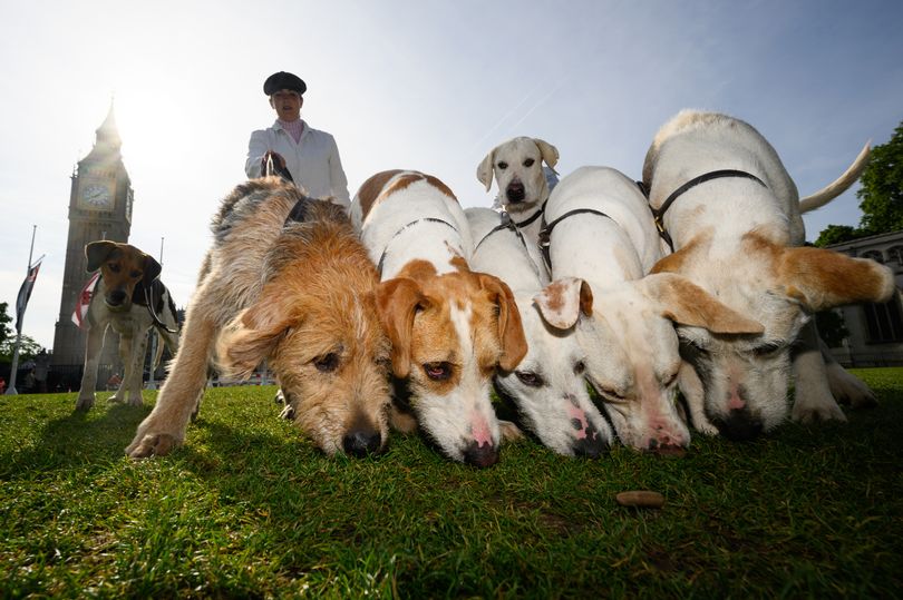 Boxing Day hunts vow to 'fight' ban and warn it will get 'messy'