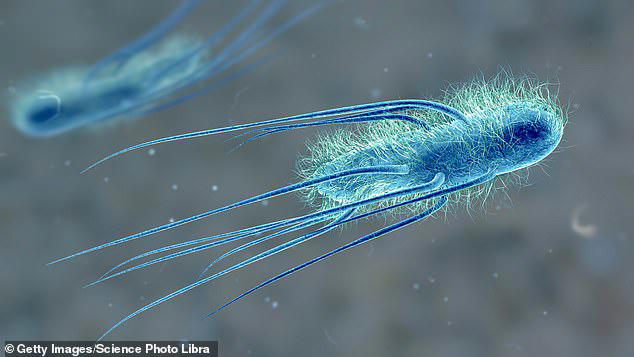 Water chiefs 'failed to act' over deadly bugs in village's supply