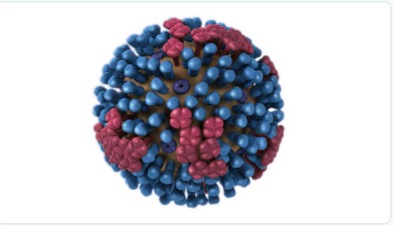 These states have highest flu rates as Christmas arrives: See map