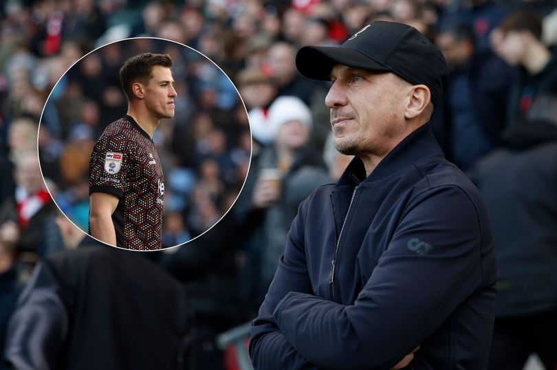Radek Vitek latest as Gerhard Struber delighted with Bristol City's ...