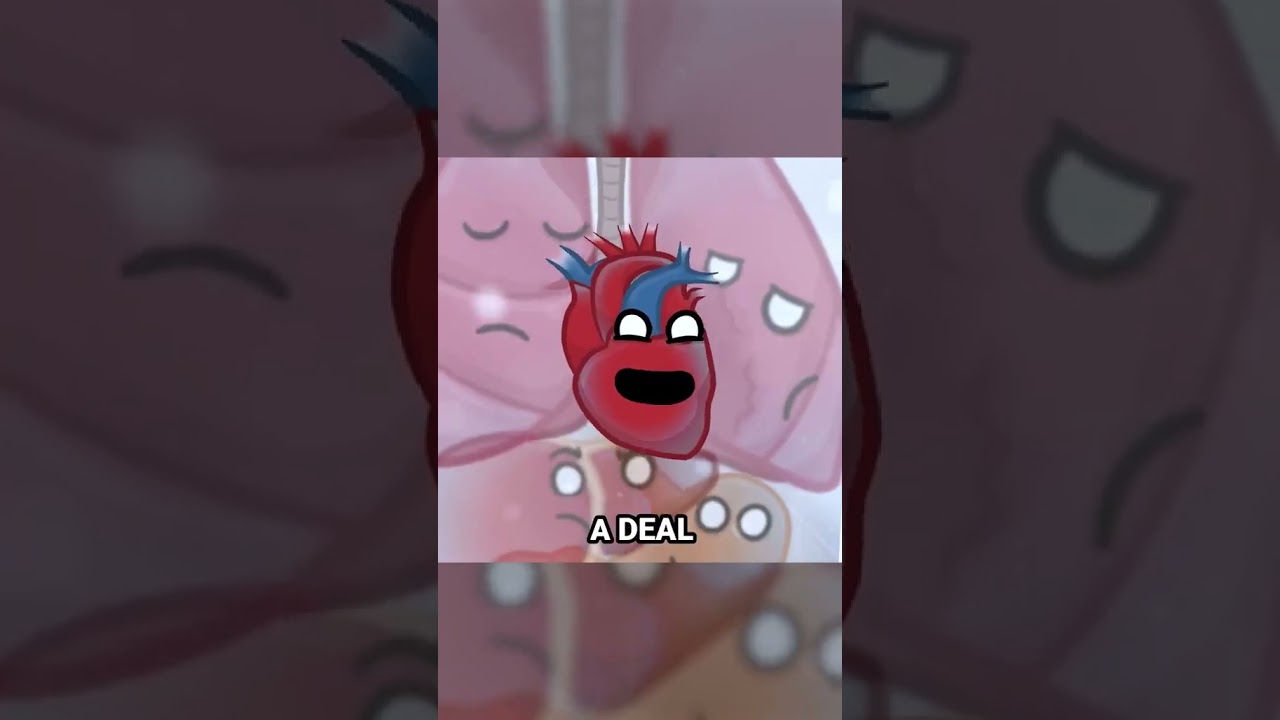 Can HEART convince BRAIN to give up? 💗🧠