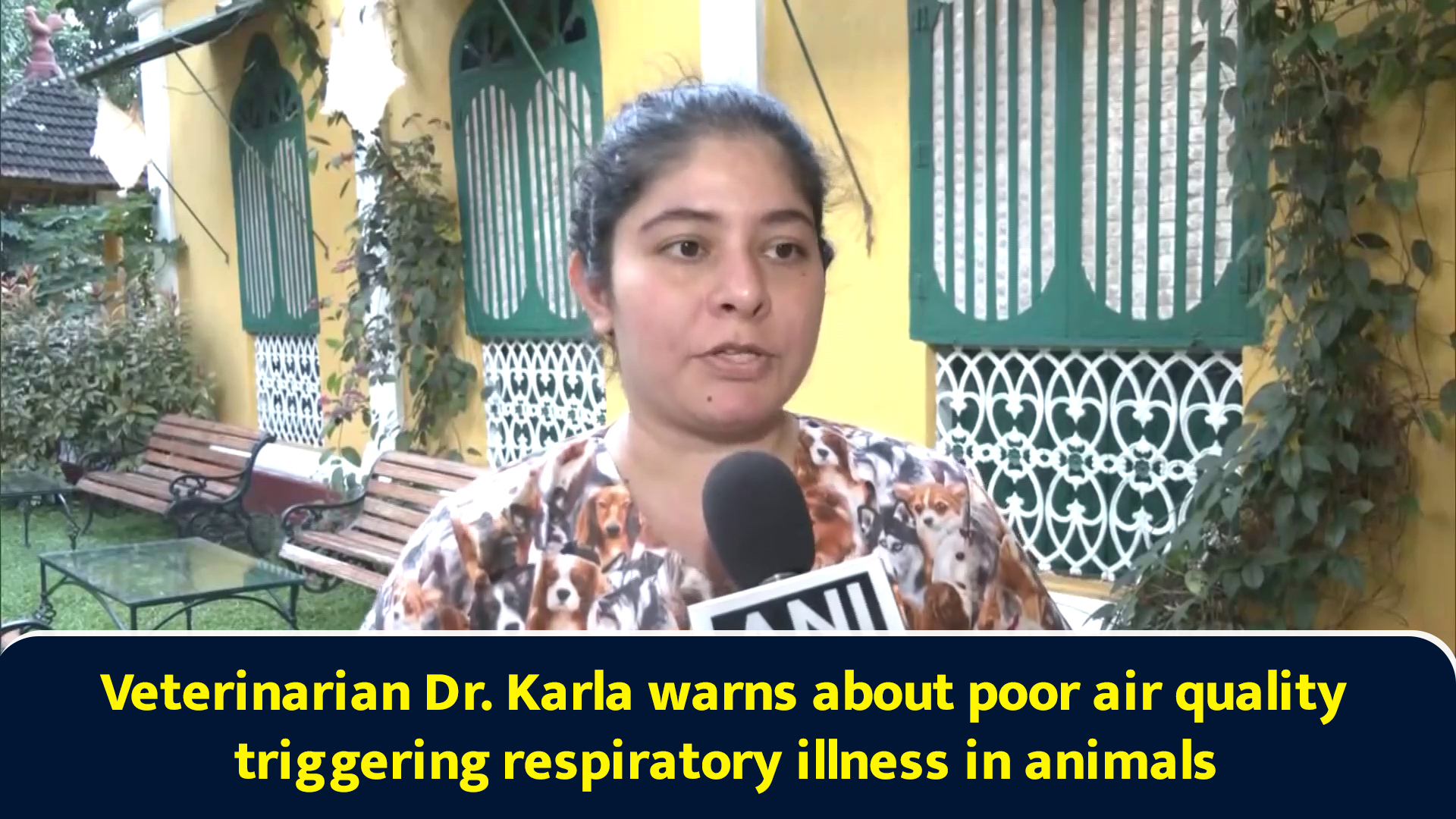 Veterinarian Dr. Karla warns about poor air quality triggering ...