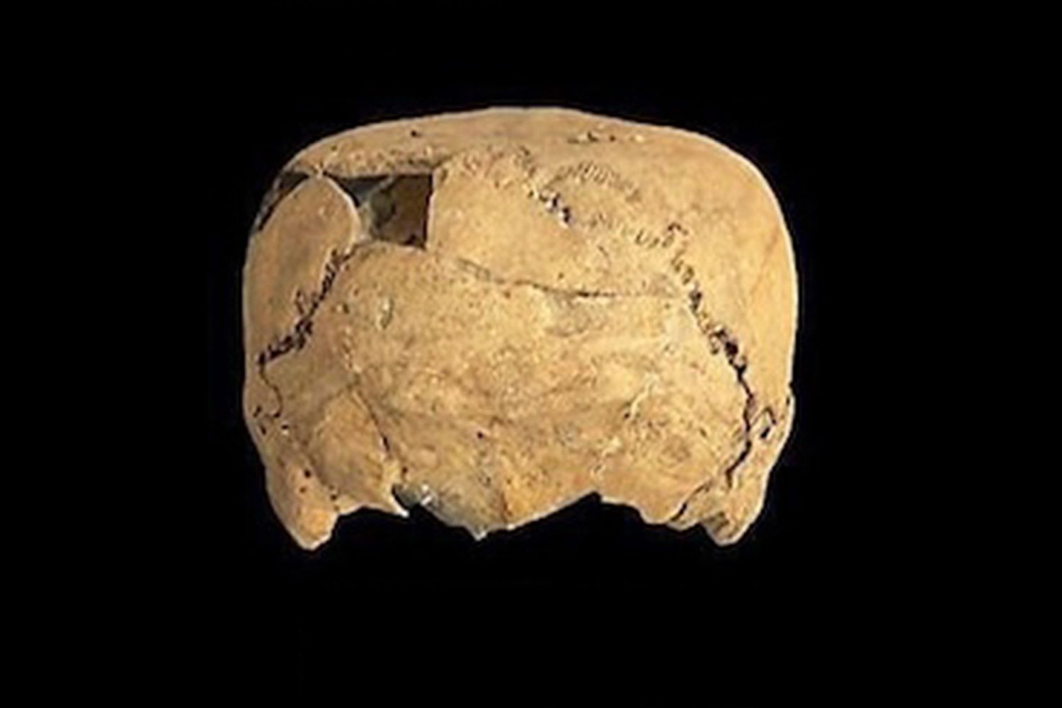 Cube-shaped skull found in Mexico offers new insight into the ancient ...