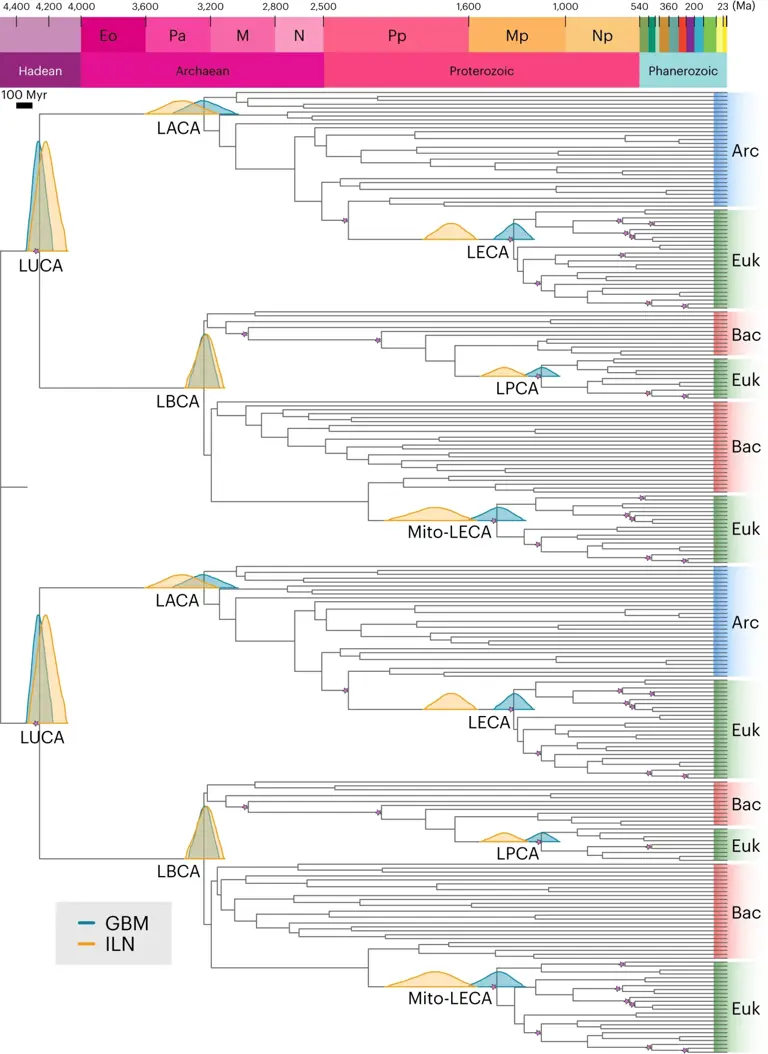 Scientists found the last universal common ancestor for all life on Earth