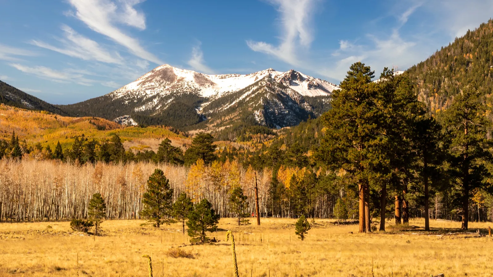 A quick guide to iconic places across Arizona
