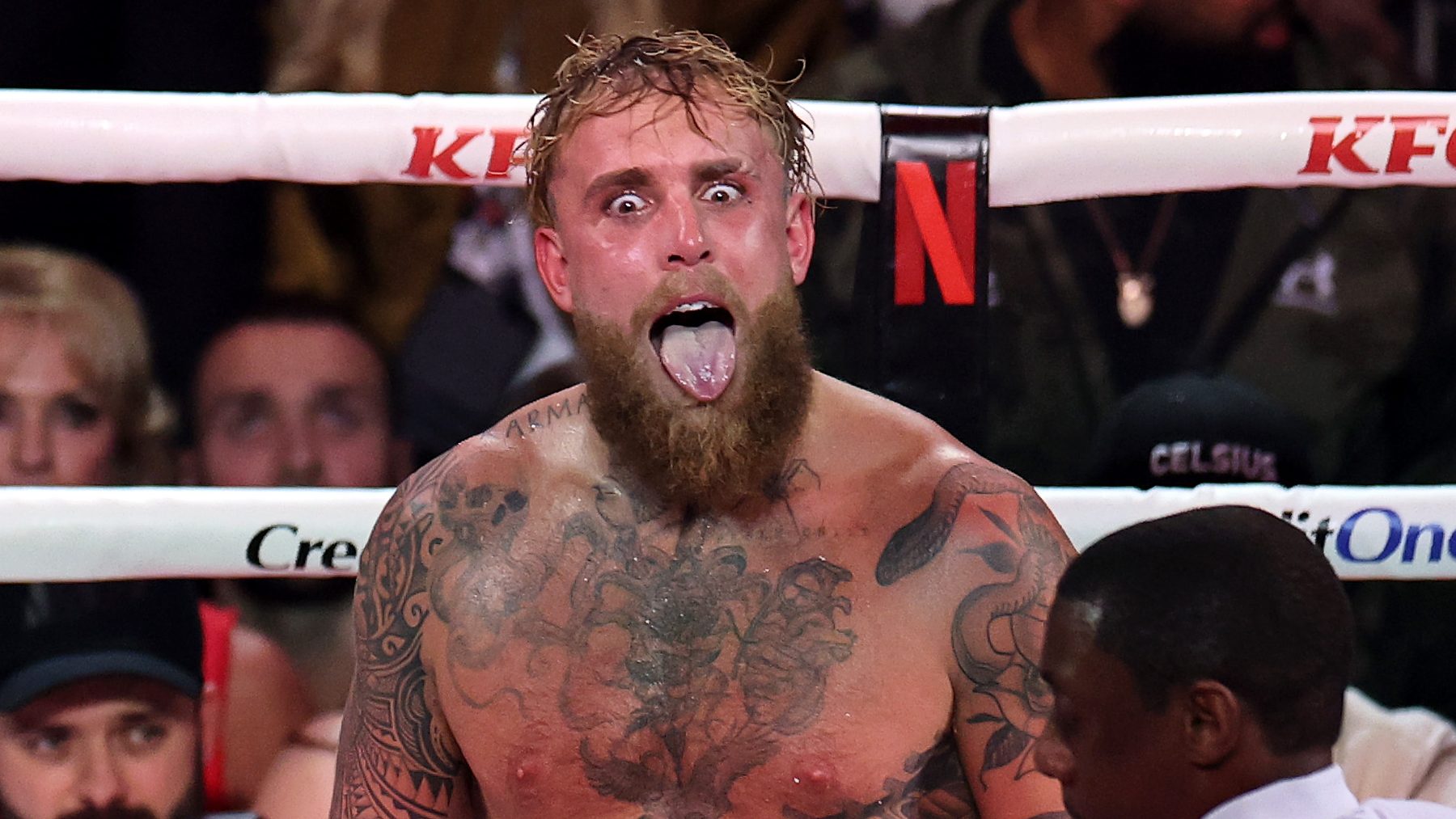 Jake Paul calls out Canelo after brutal injury in KO loss