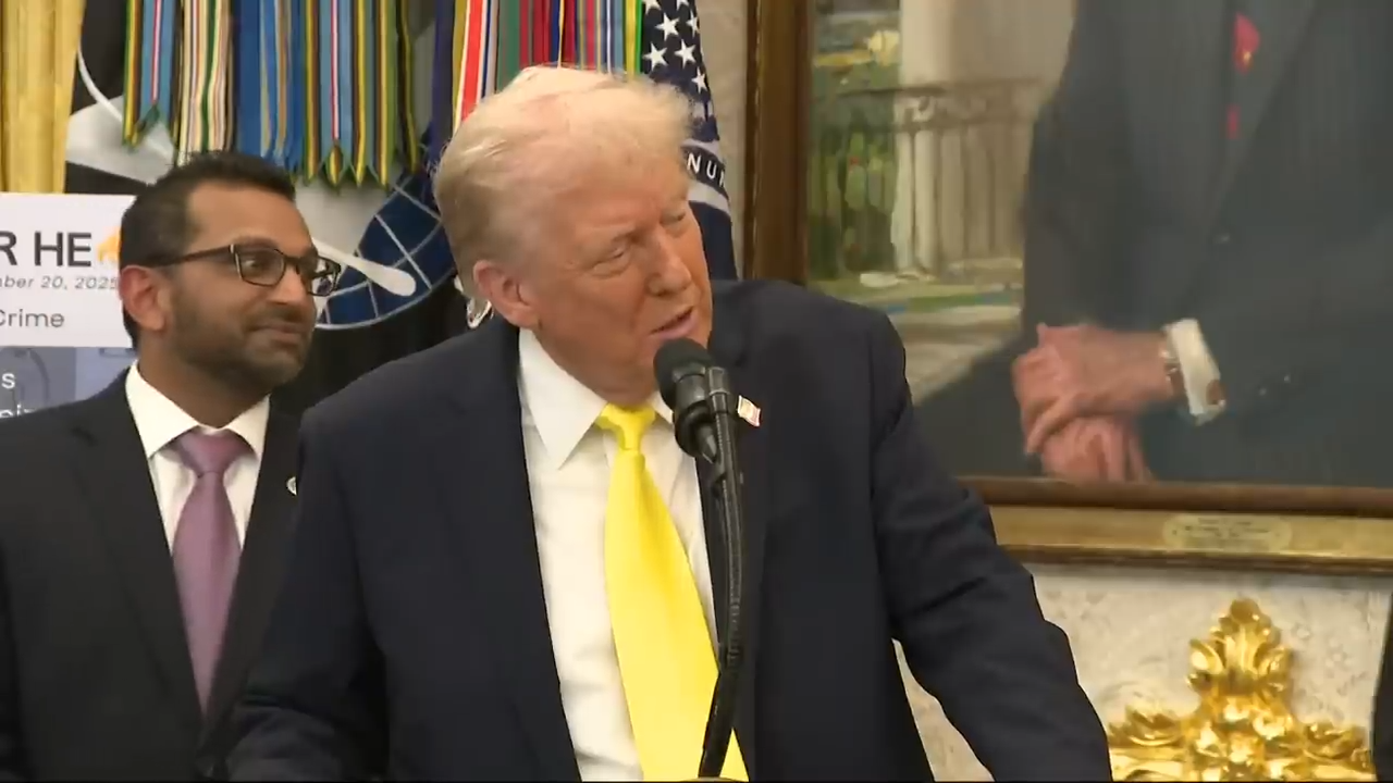 'I'd have him dismissed immediately': Trump goes on power trip ...