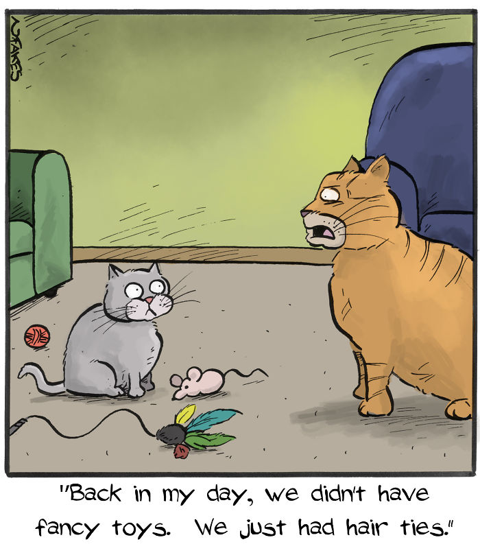 35 comics that cat owners will relate to, inspired by my cat