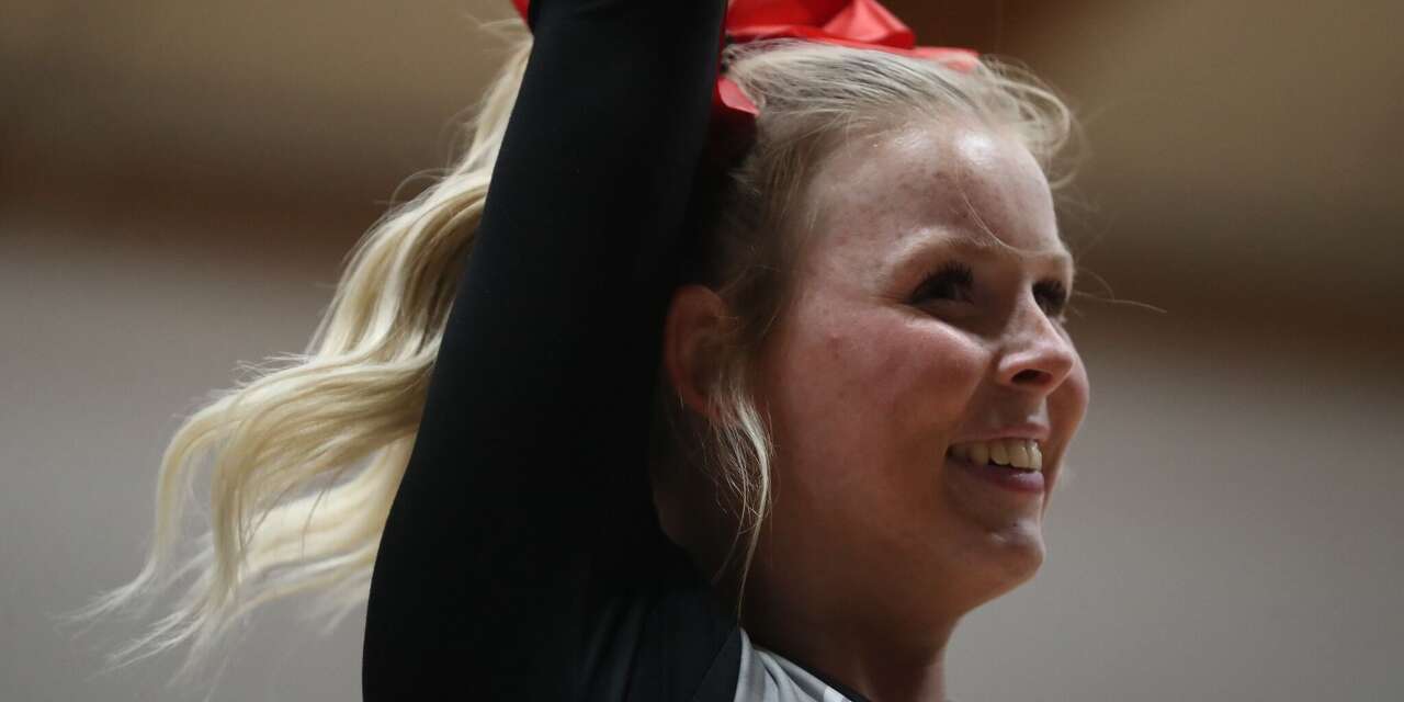 Illinois boys' and girls' high school basketball scores for Friday ...