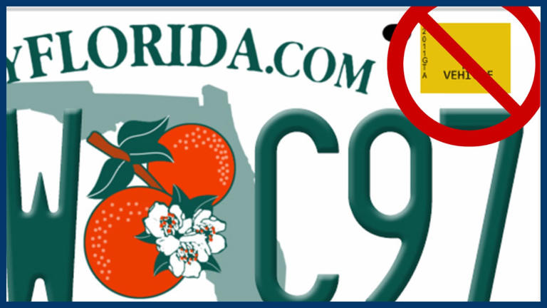 DeSantis backs bill to eliminate Florida license plate registration ...