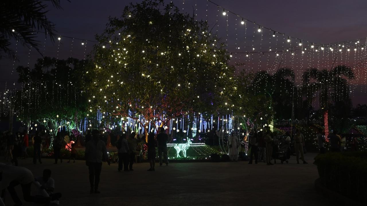 In photos Bandra Reclamation promenade in Mumbai readies for Christmas 2025