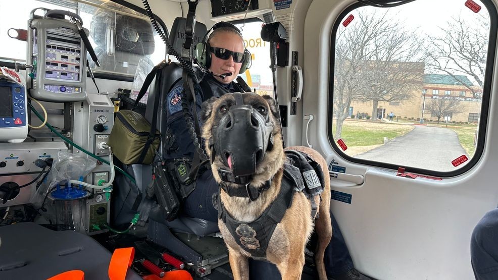 Sheriff dogs train for helicopter safety