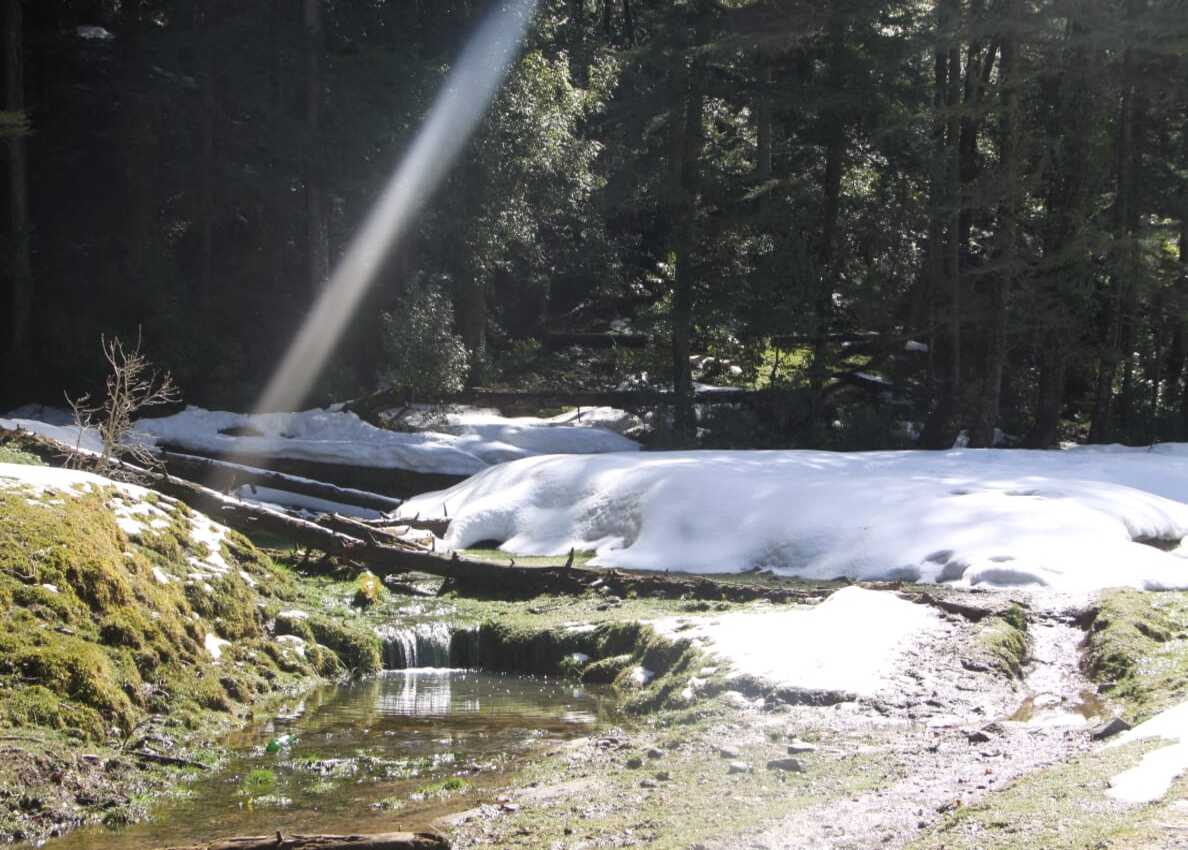 15 natural water sources that require minimal filtering