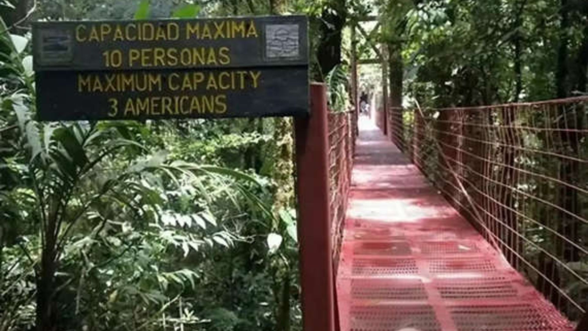 These signs were so funny, people had no choice but to stop and take a ...