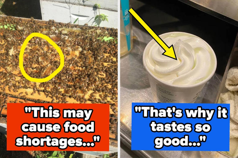 Anonymous employees are revealing the common knowledge in their jobs ...