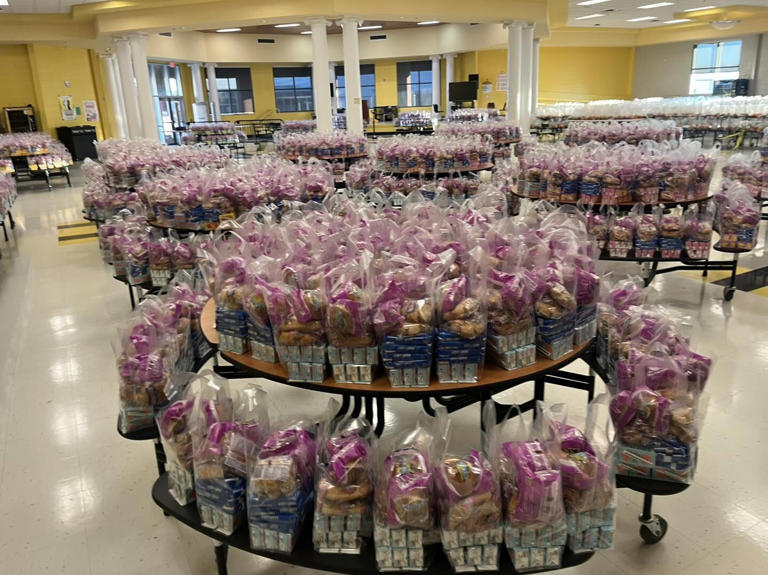 Valdosta City Schools packs 40,000 meals to distribute to families over ...