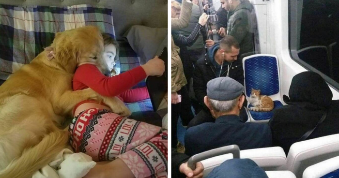 58 pictures of pets being incredibly silly to make you laugh