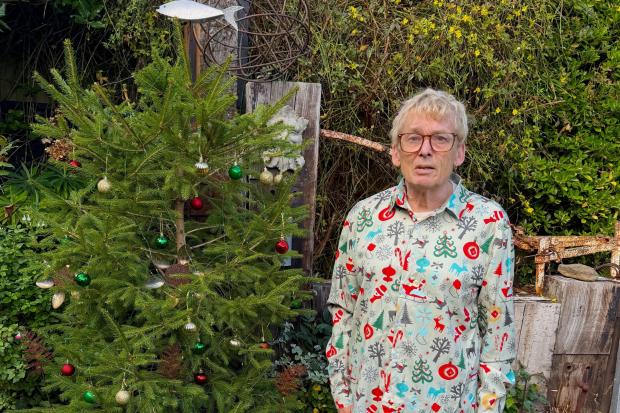 A resilient Christmas tree and a winter wonderland