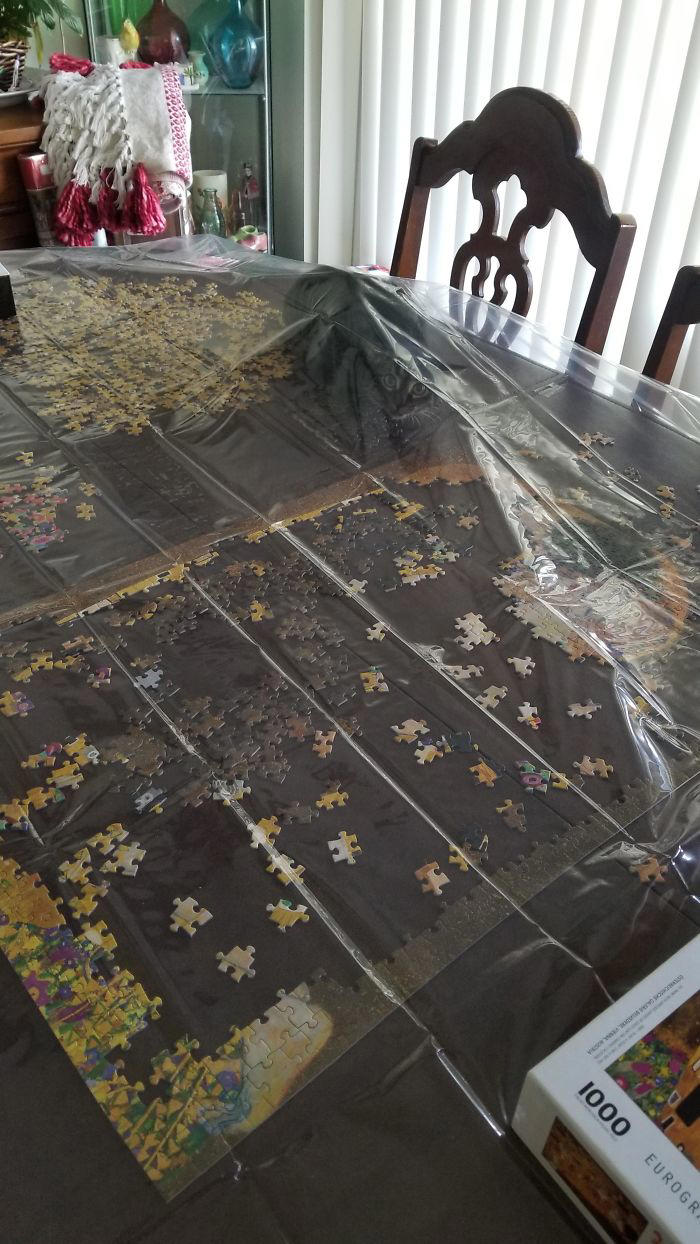 30 photos that show the reality of trying to finish a puzzle with your cat